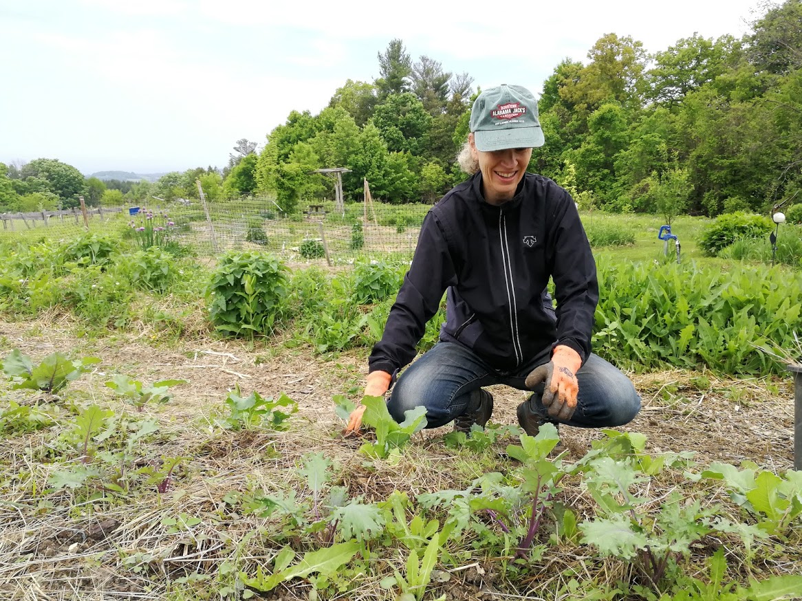 Co-op Vegetable Garden – Headwaters Farm