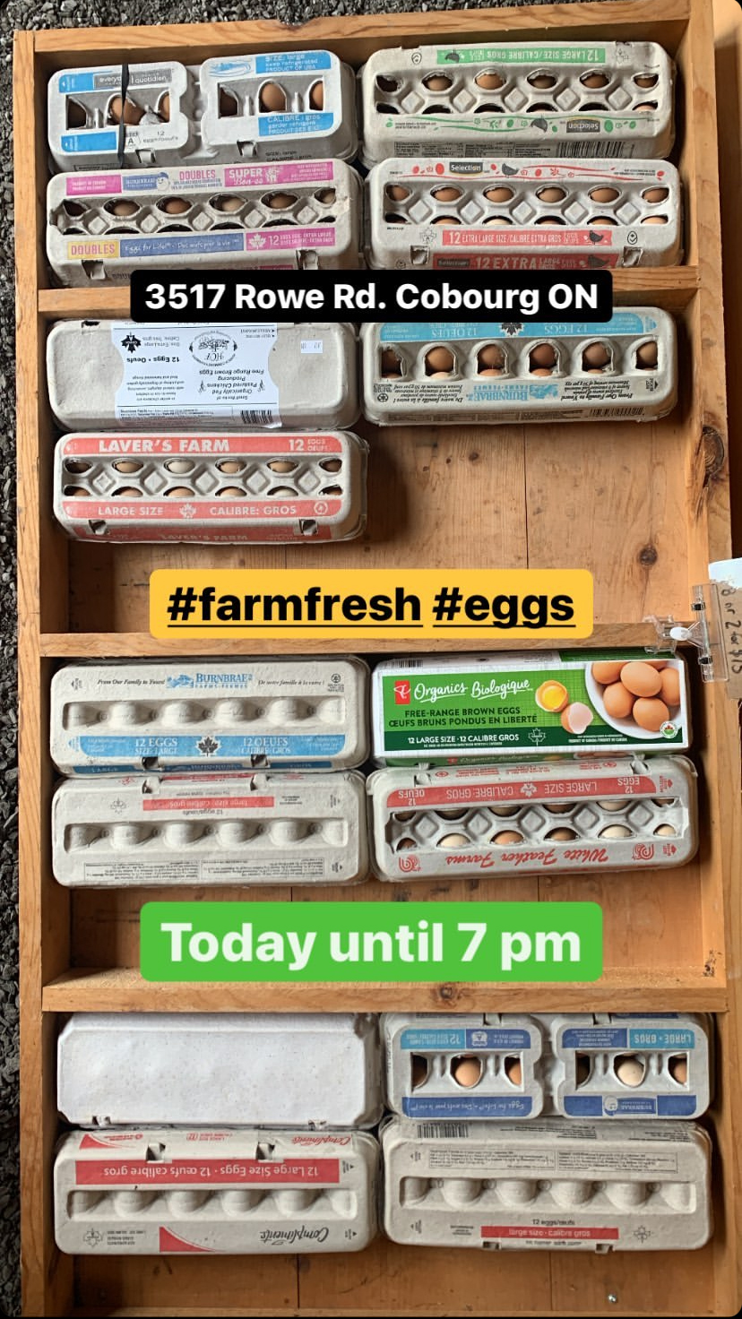 Foragers Farms Market Now Open – Headwaters Farm