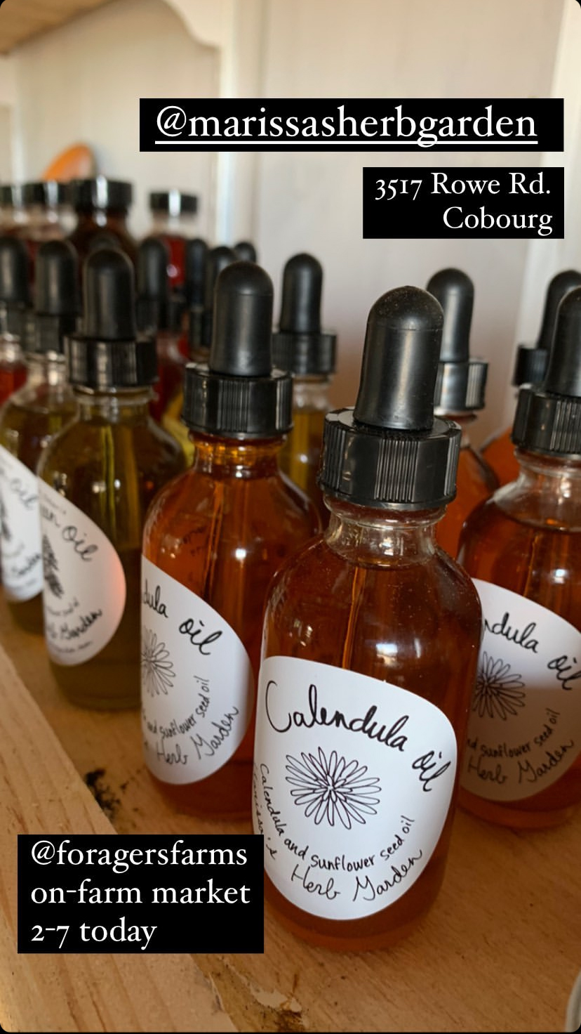 Foragers Farms Market Now Open – Headwaters Farm